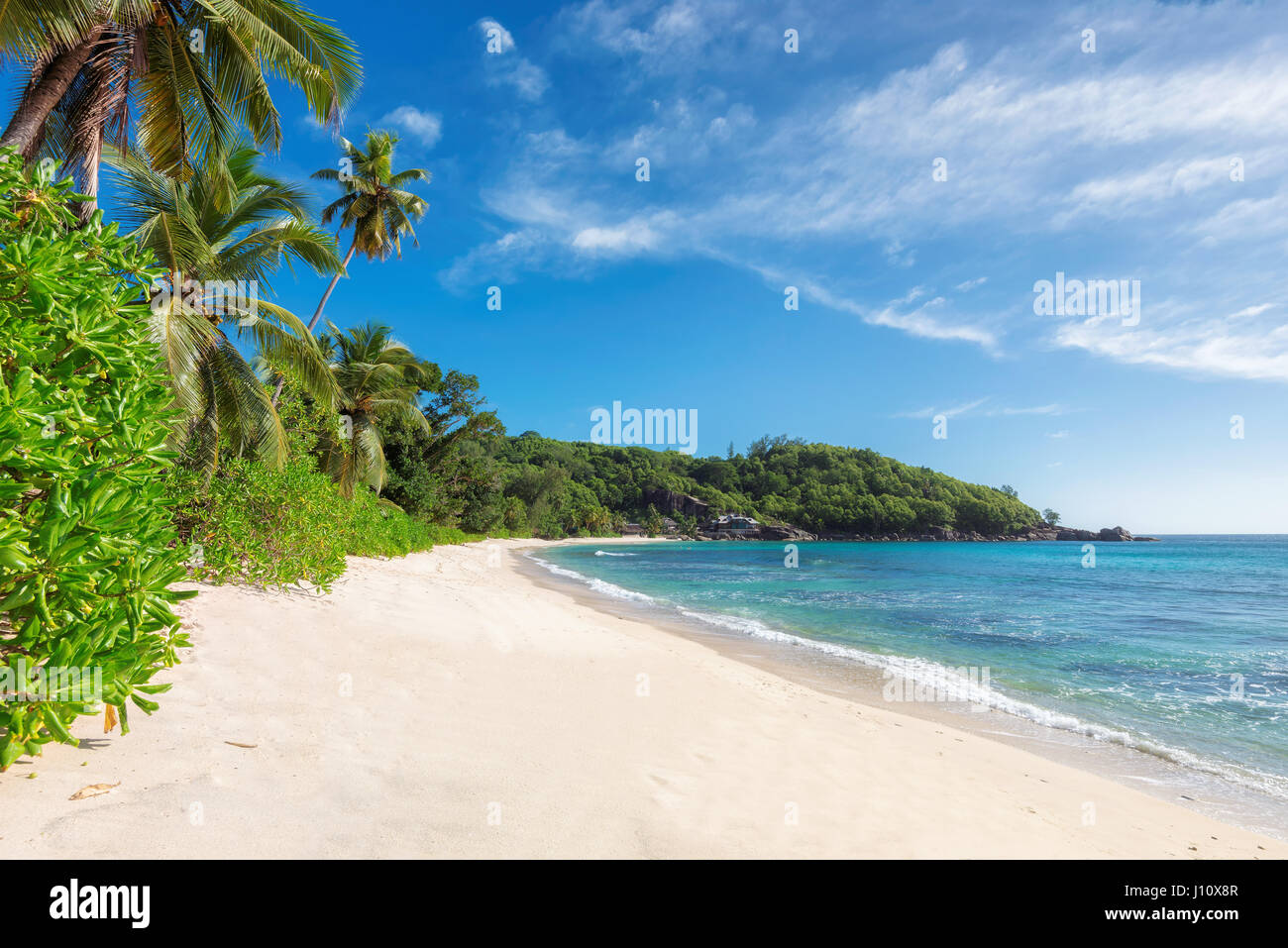 Beach vacation design hi-res stock photography and images - Alamy