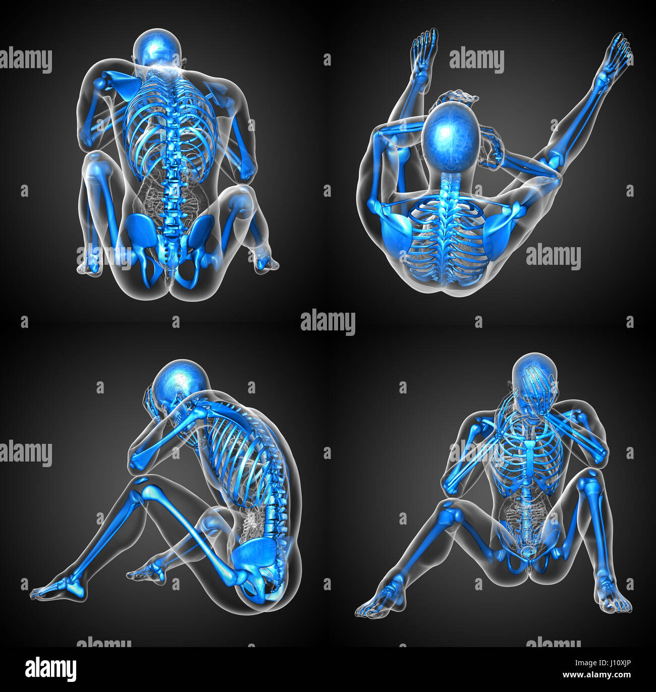 3d rendering medical illustration of the human skeleton Stock Photo - Alamy