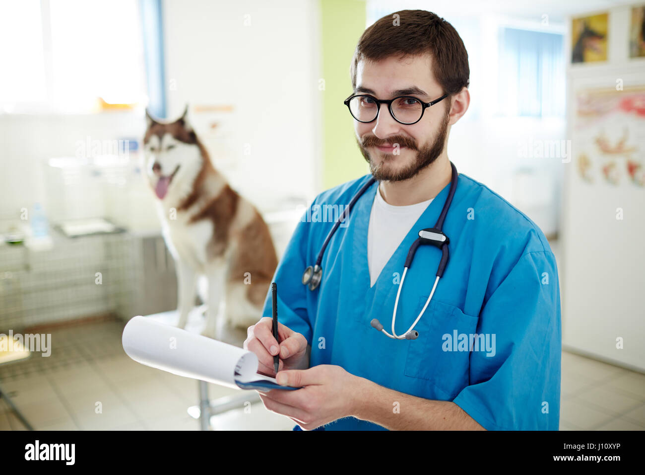 Young veterinarian writing prescriptions for his patient Stock Photo ...
