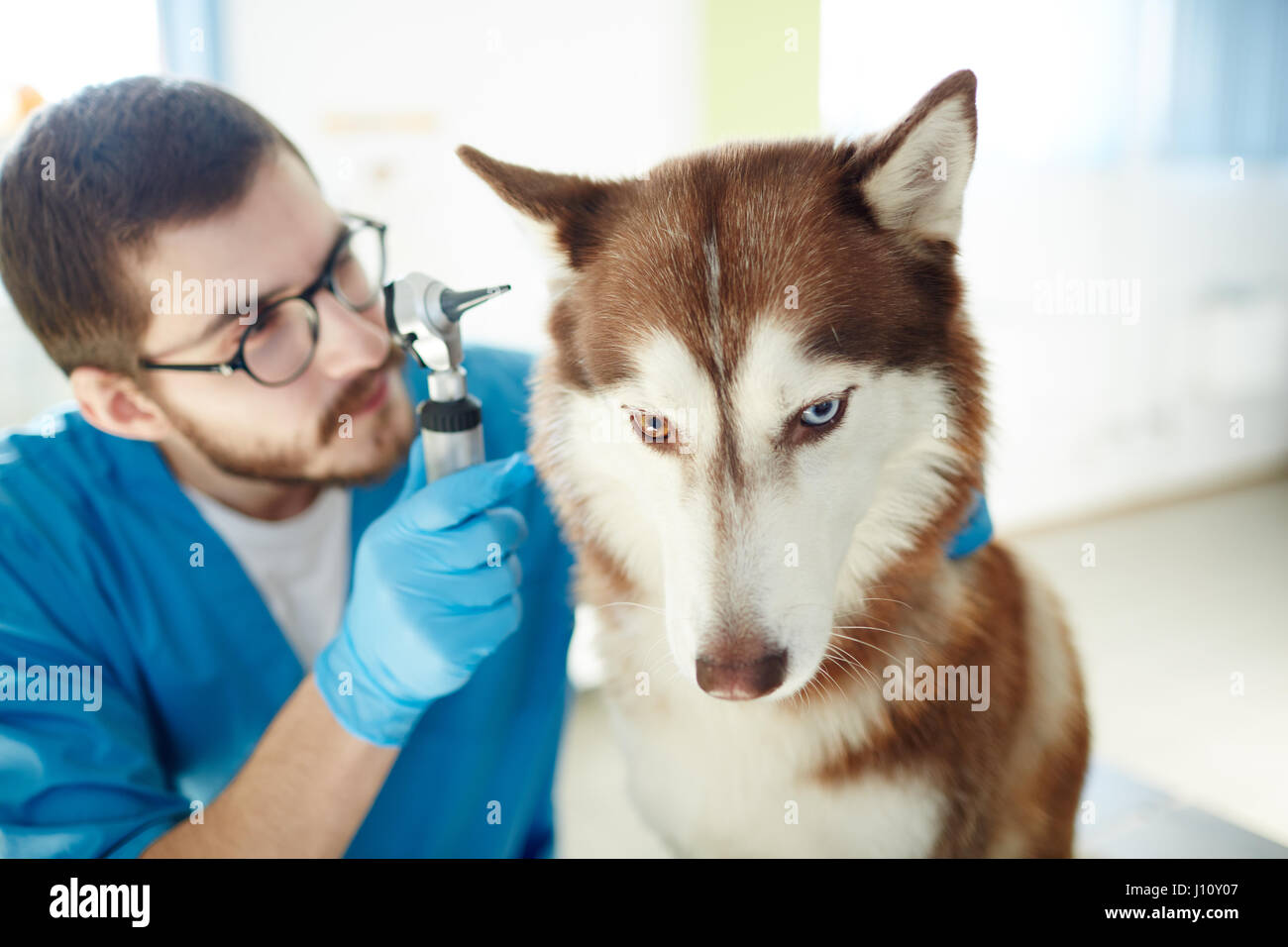Doctor checking up hi-res stock photography and images - Alamy