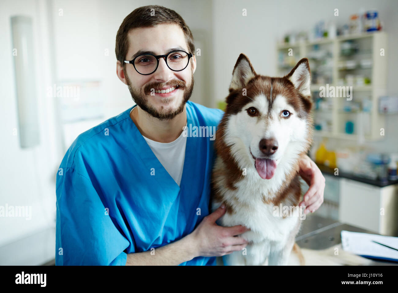 Healthy animal and his vet looking at camera Stock Photo - Alamy