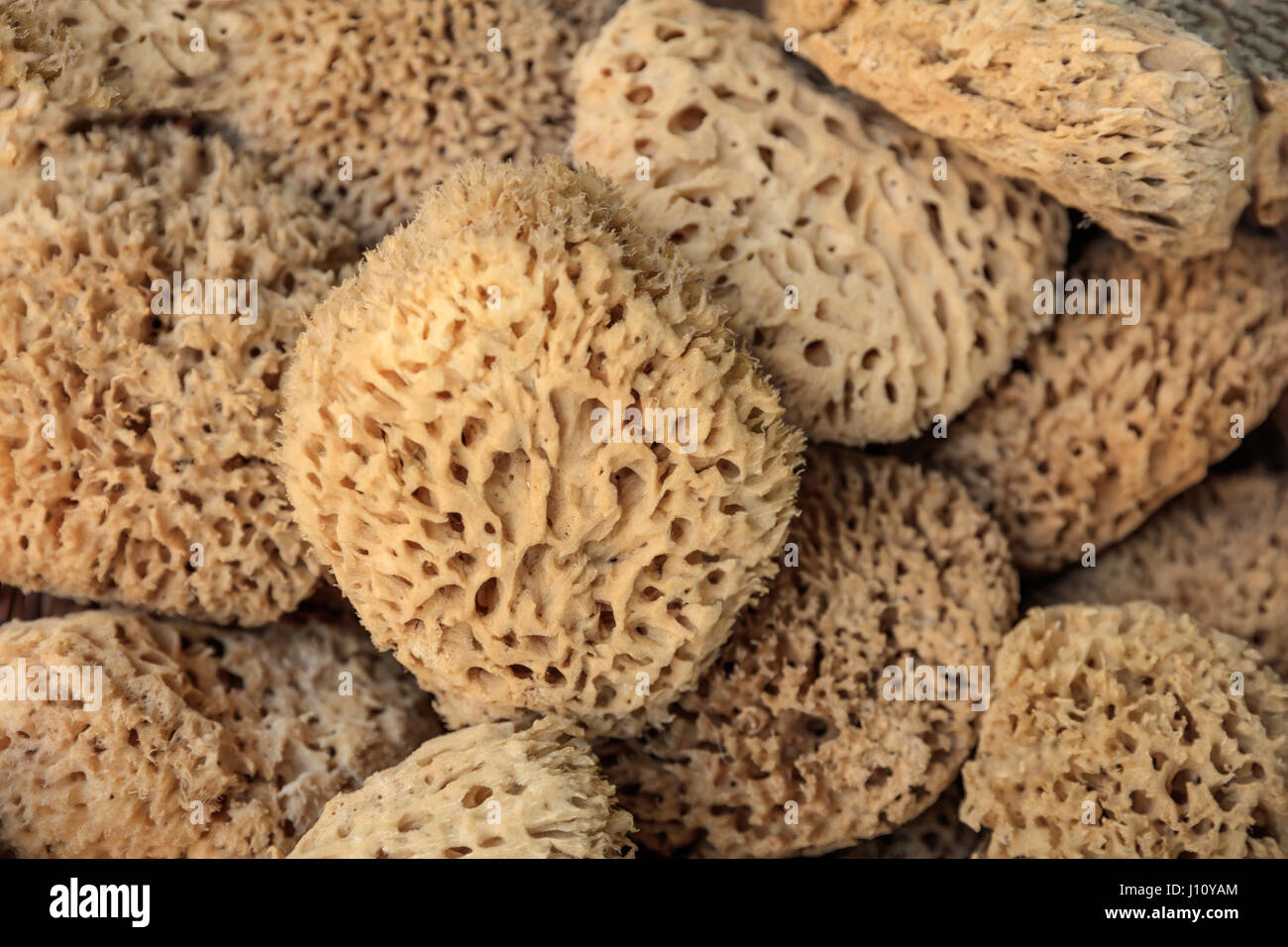 Natural sponges full background - top view Stock Photo - Alamy