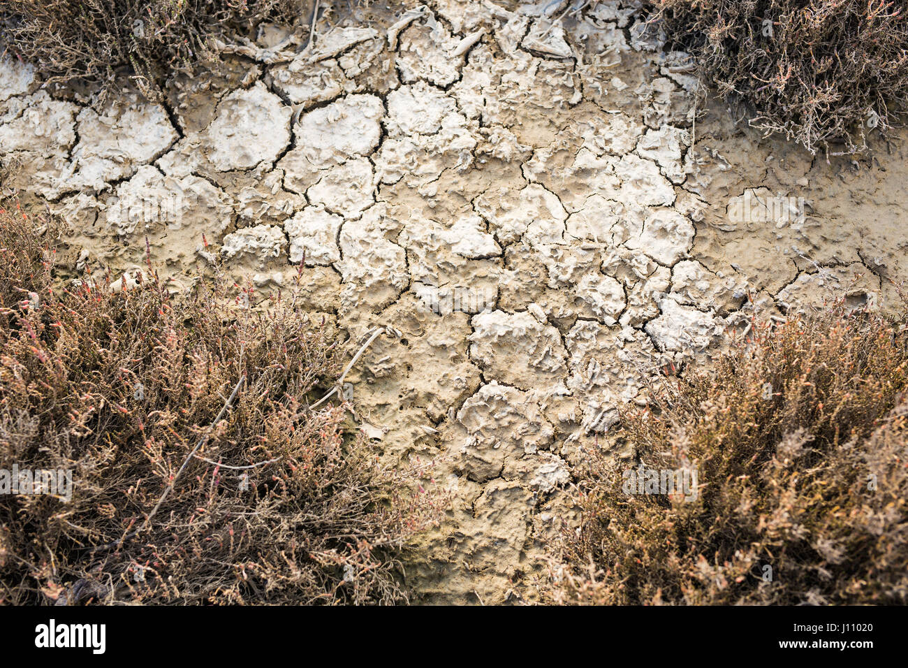 Dry land texture, background image Stock Photo - Alamy