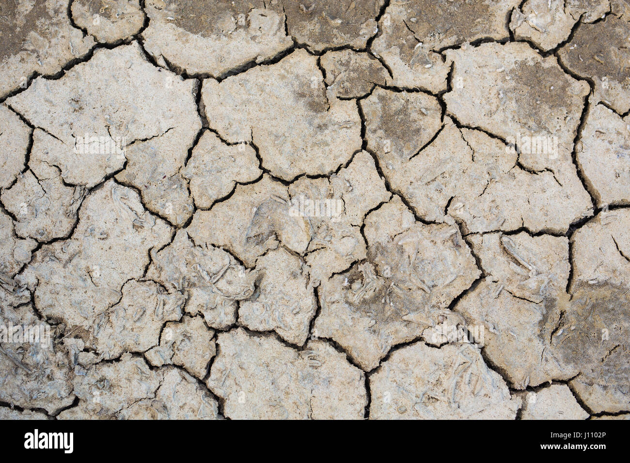 Dry land texture, background image. The texture of cracked earth Stock ...