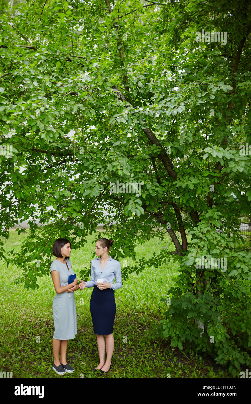 Two students under tree hi-res stock photography and images - Alamy