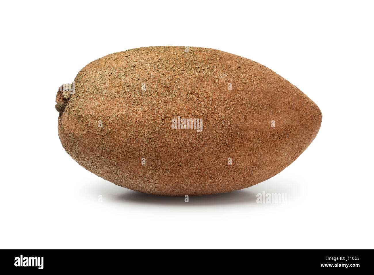 Single fresh ripe sapodilla on white background Stock Photo - Alamy