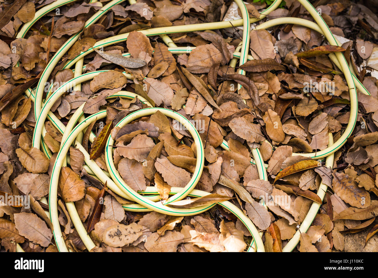 Garden hose-pipe outdoor Stock Photo - Alamy