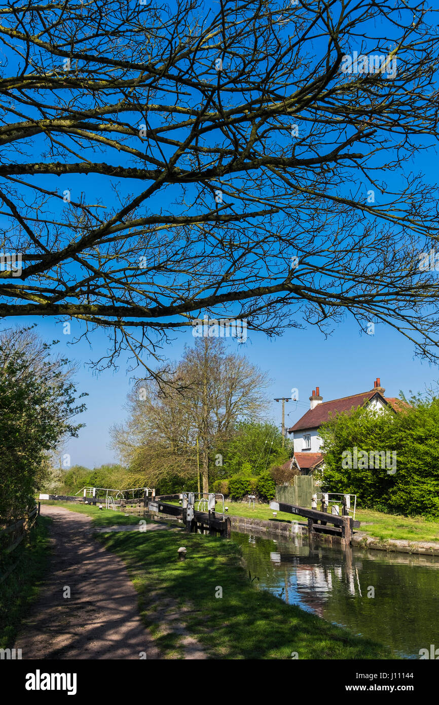 Grand Union Canal around Tring Summit & Reservoir's, Hertfordshire ...