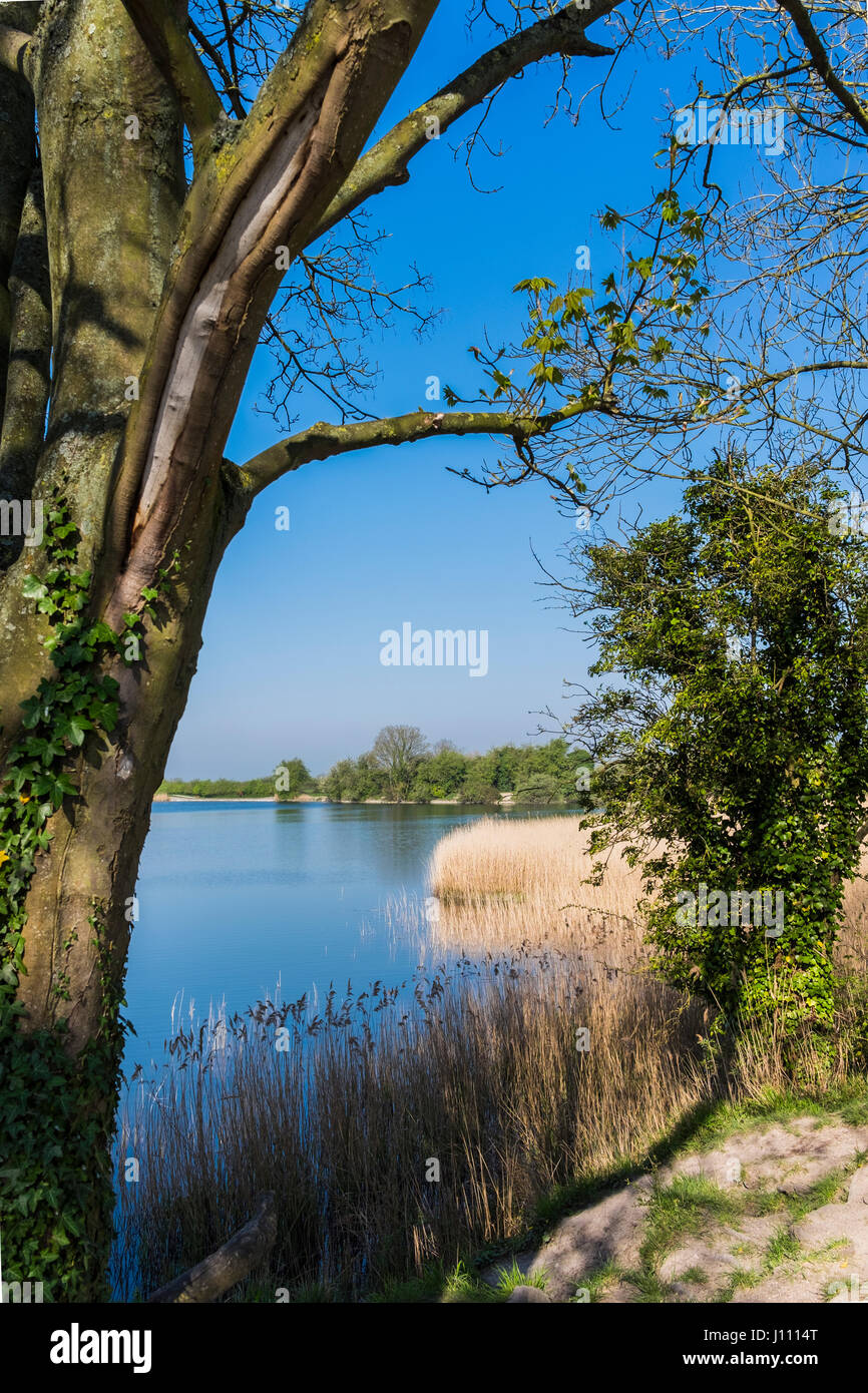 Grand Union Canal around Tring Summit & Reservoir's, Hertfordshire ...