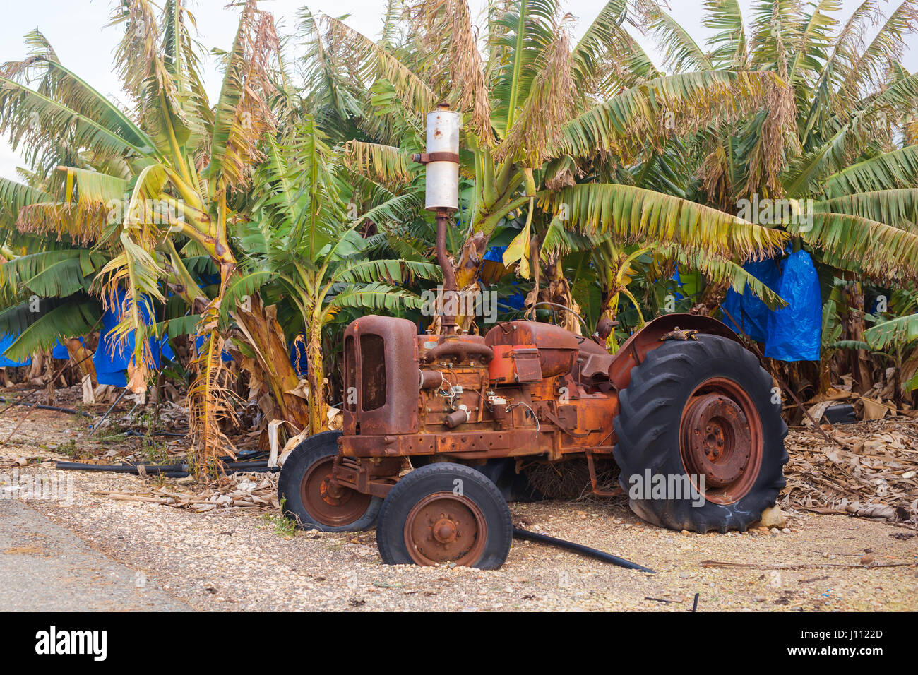 industrial agricultural scene of abandoned old rusted and dusty tractor ...