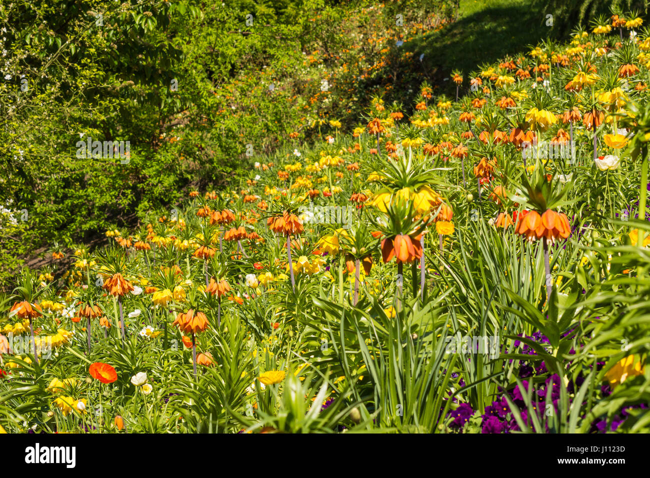 Merano’s Gardens of Trauttmansdorff Castle: A Truly Unique Project ...