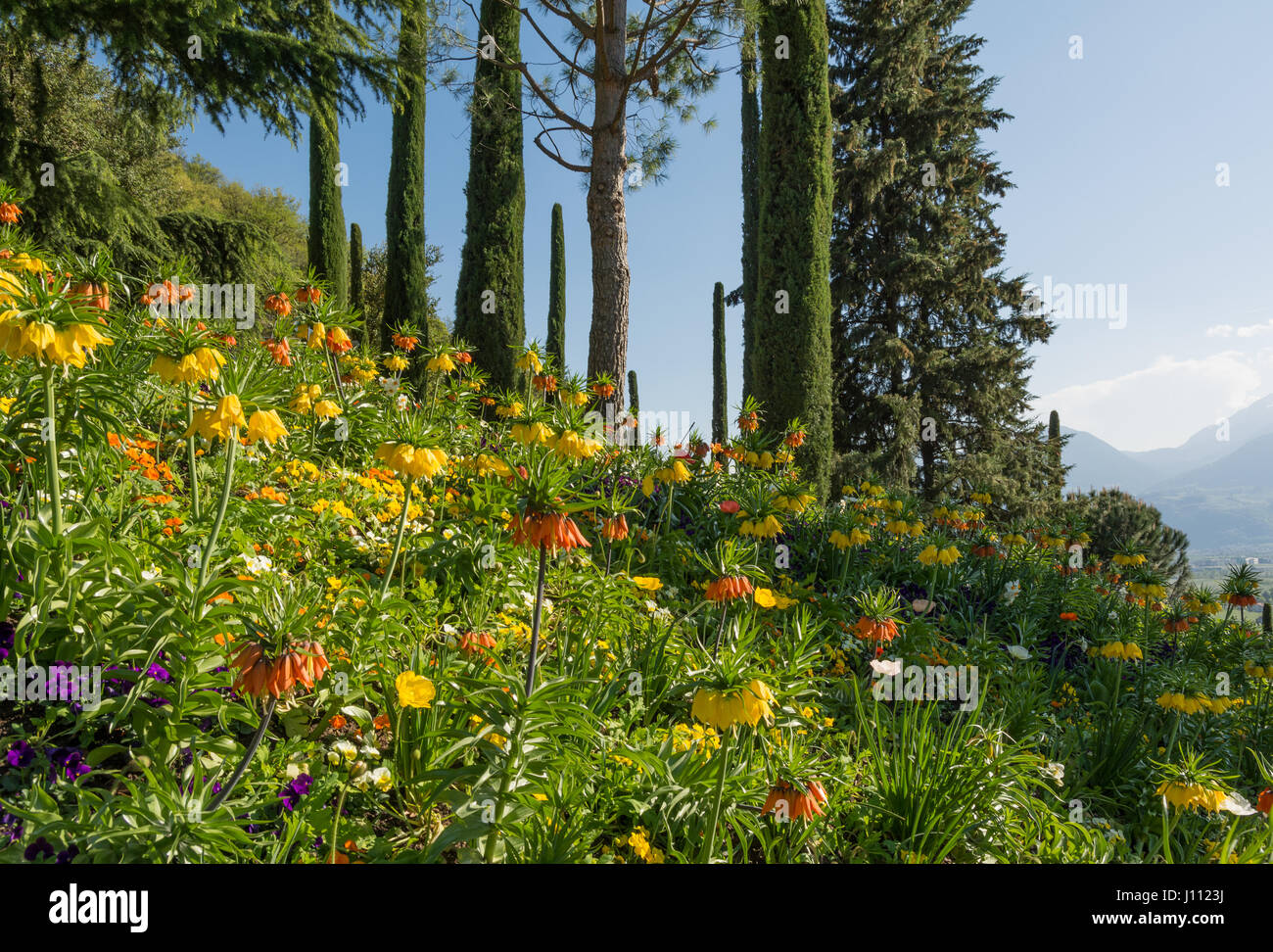 Merano’s Gardens of Trauttmansdorff Castle: A Truly Unique Project ...