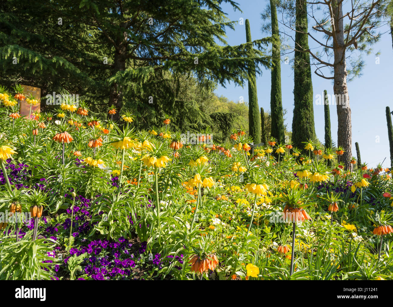 Merano’s Gardens of Trauttmansdorff Castle: A Truly Unique Project ...