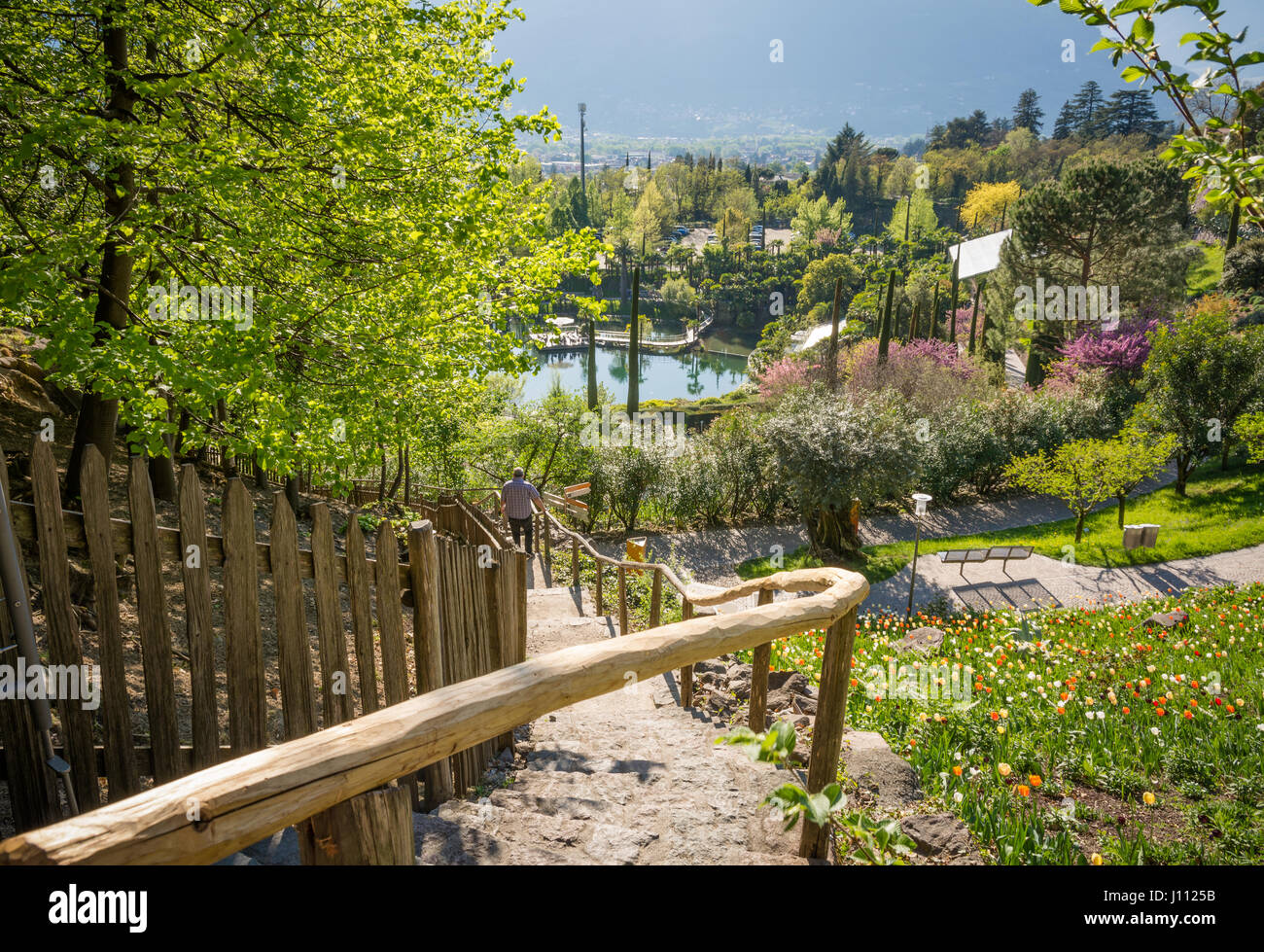 Merano’s Gardens of Trauttmansdorff Castle: A Truly Unique Project ...