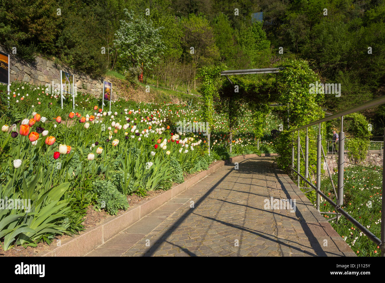 Merano’s Gardens of Trauttmansdorff Castle: A Truly Unique Project ...