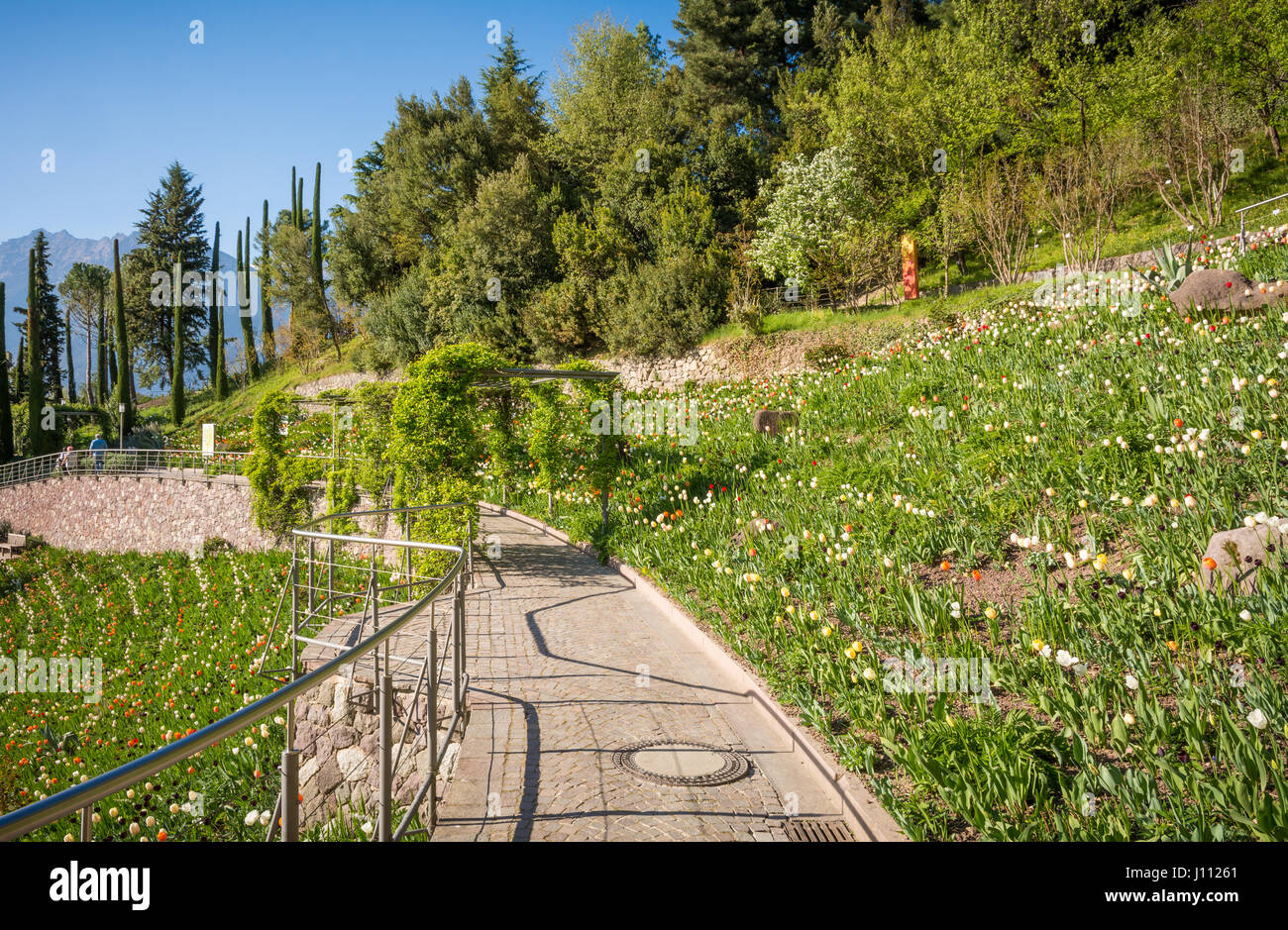Merano’s Gardens of Trauttmansdorff Castle: A Truly Unique Project ...