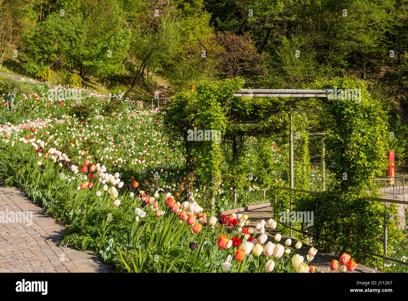 Merano’s Gardens of Trauttmansdorff Castle: A Truly Unique Project ...