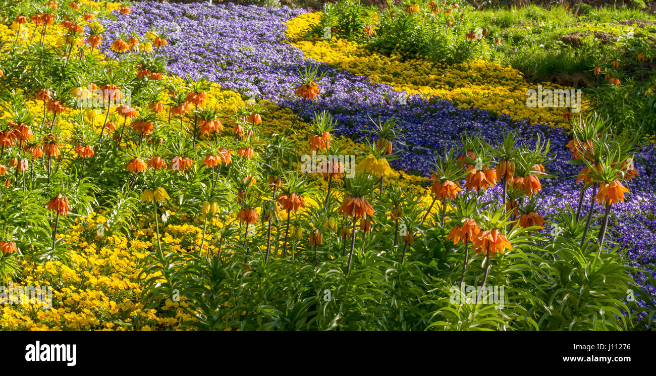 Merano’s Gardens of Trauttmansdorff Castle: A Truly Unique Project ...
