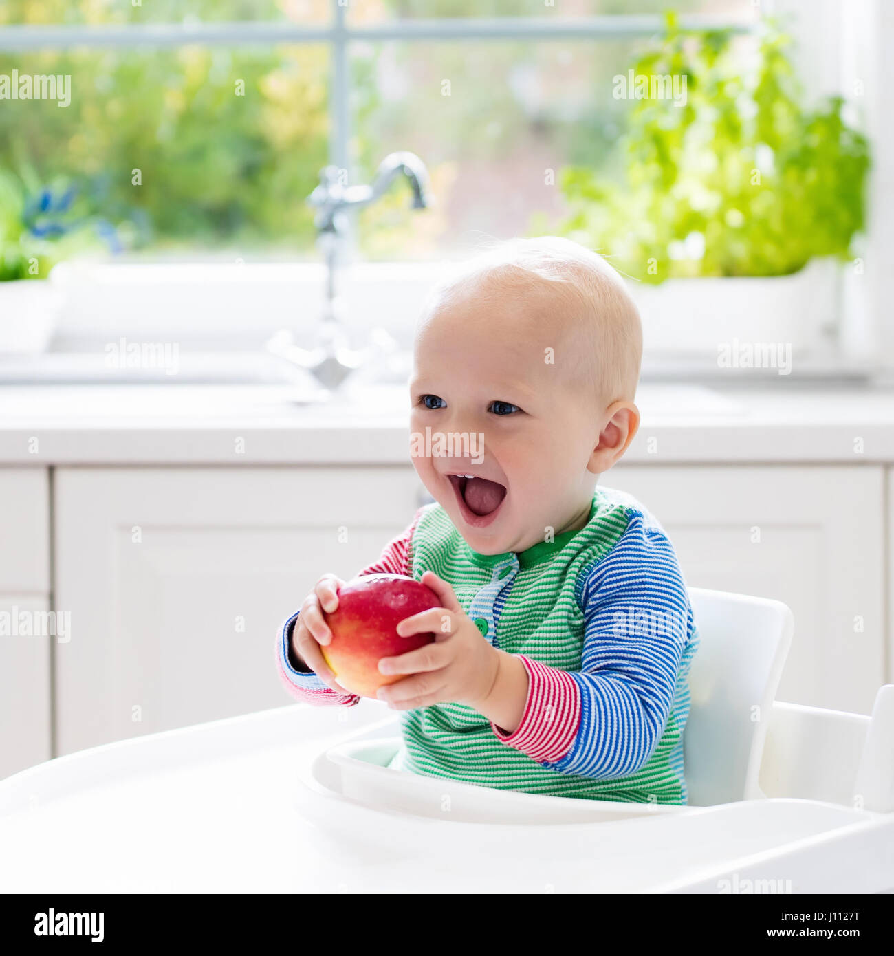 Baby eating fruit. Little boy biting apple sitting in white high chair ...