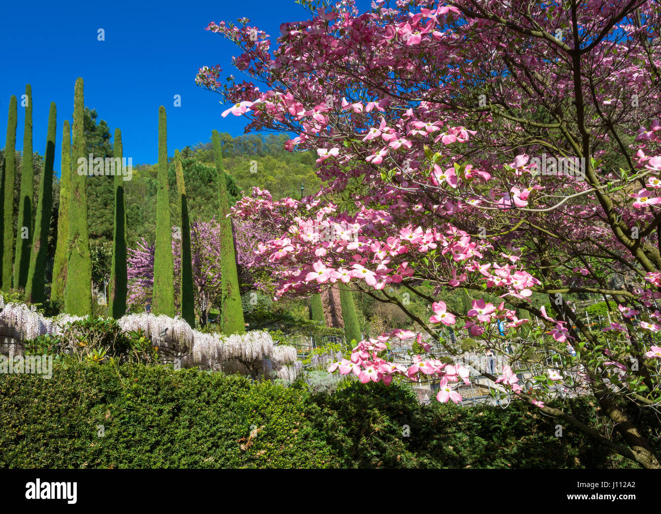 Merano’s Gardens of Trauttmansdorff Castle: A Truly Unique Project ...