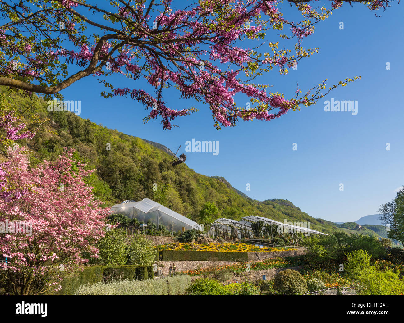 Merano’s Gardens of Trauttmansdorff Castle: A Truly Unique Project ...