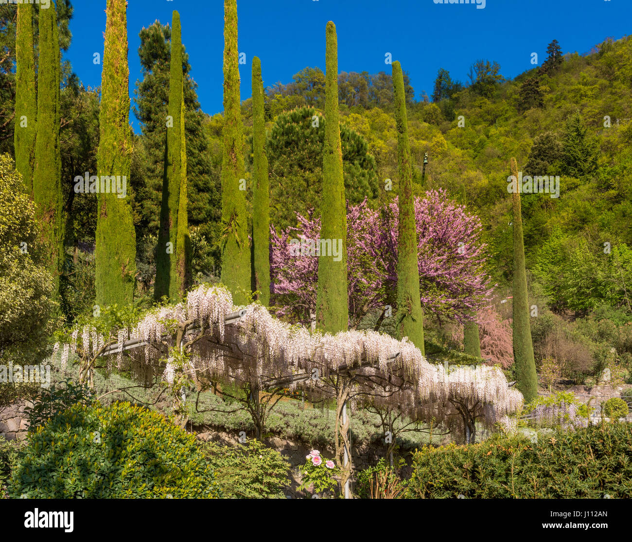 Merano’s Gardens of Trauttmansdorff Castle: A Truly Unique Project ...