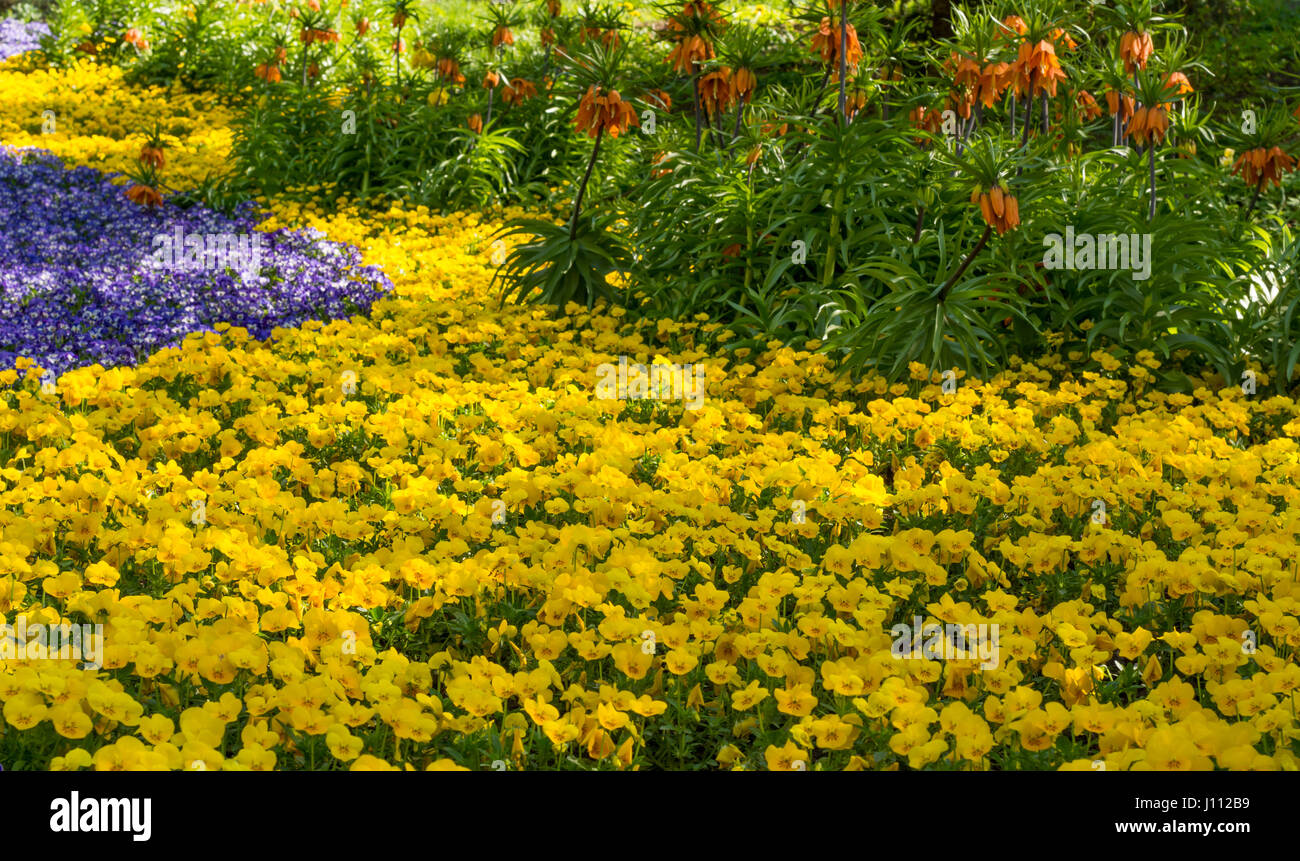 Merano’s Gardens of Trauttmansdorff Castle: A Truly Unique Project ...