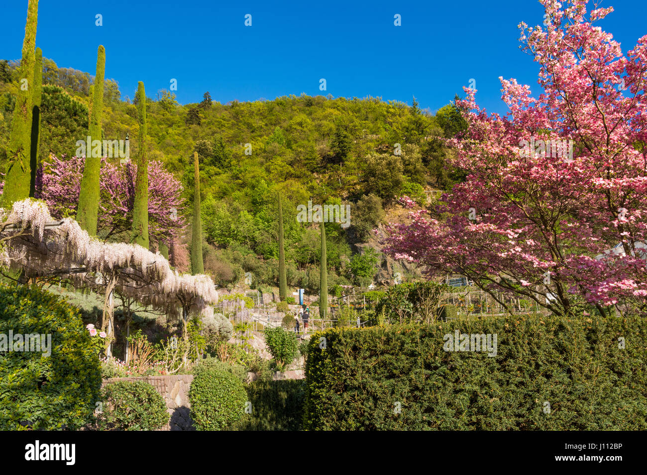 Merano’s Gardens of Trauttmansdorff Castle: A Truly Unique Project ...