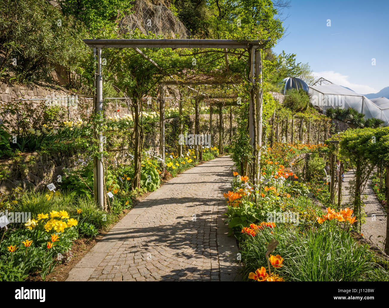 Merano’s Gardens of Trauttmansdorff Castle: A Truly Unique Project ...
