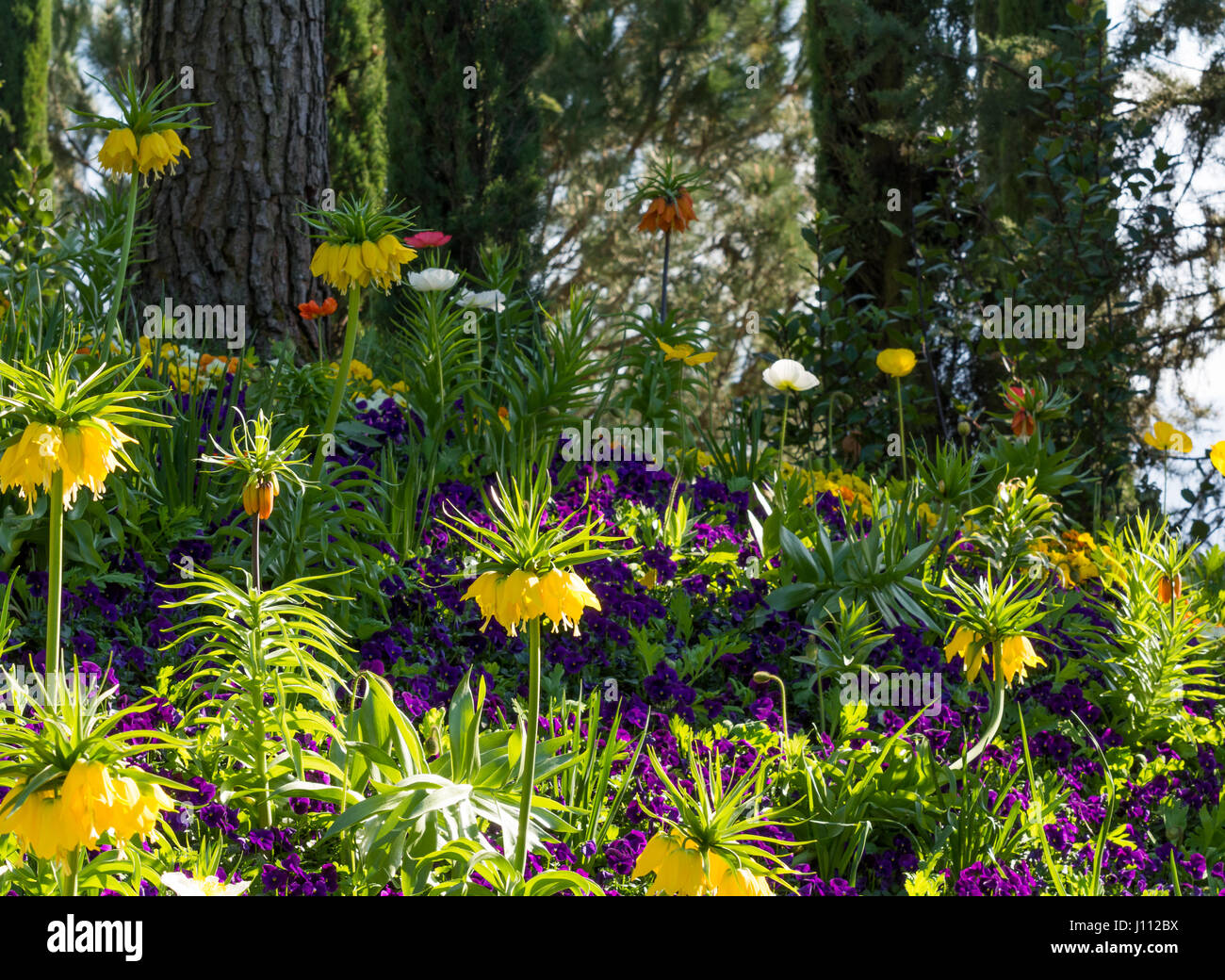 Merano’s Gardens of Trauttmansdorff Castle: A Truly Unique Project ...