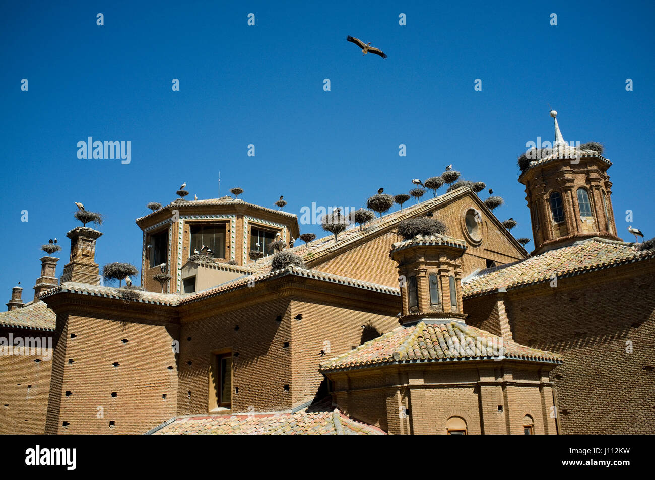 Storks in Collegiate of San Miguel Arcangel, Alfaro, La Rioja, Spain ...