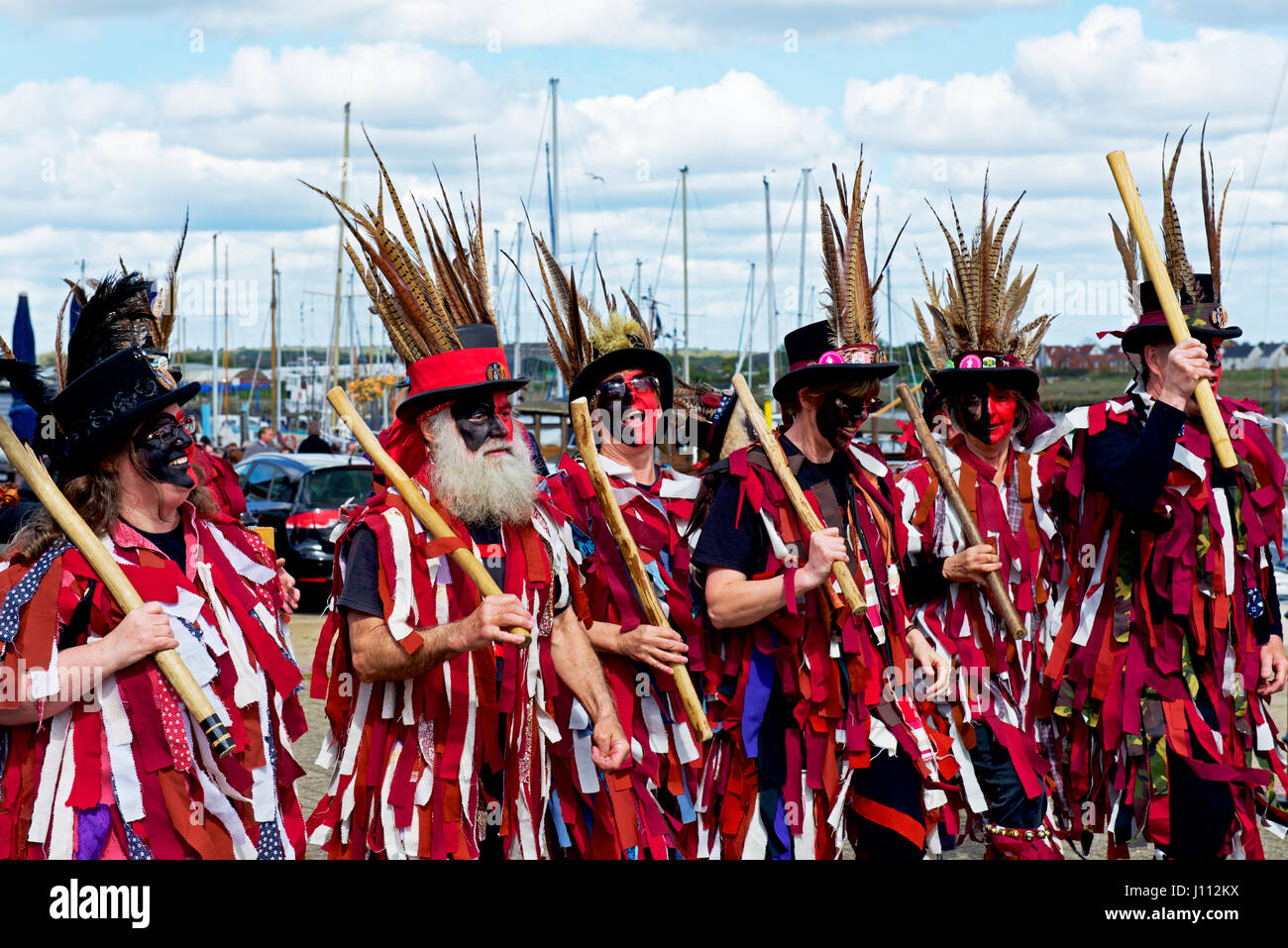 Dark horse border morris hi-res stock photography and images - Alamy