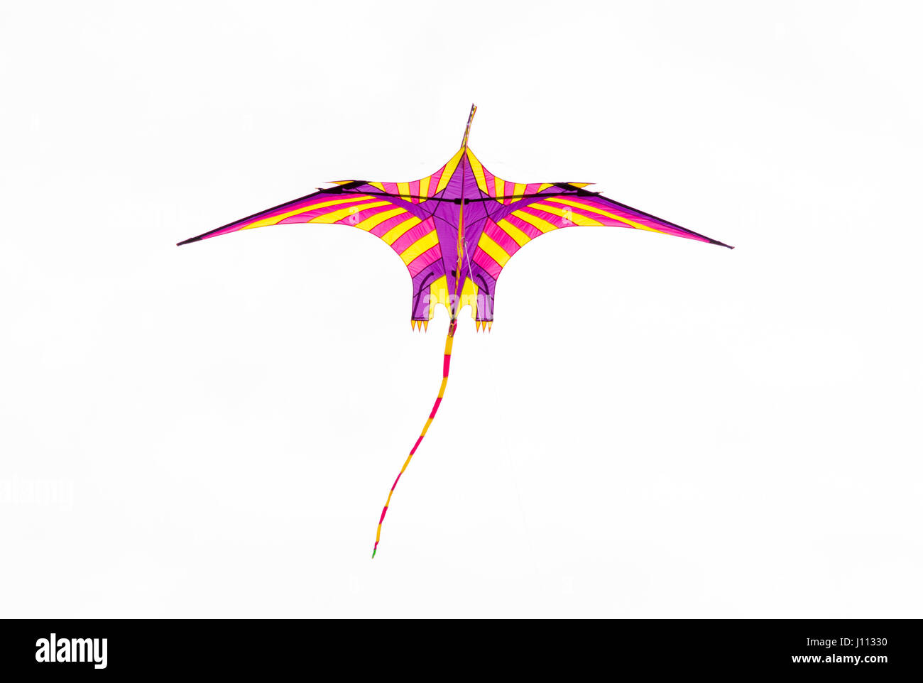 White dragon icon in Cut Out Stock Images & Pictures - Alamy