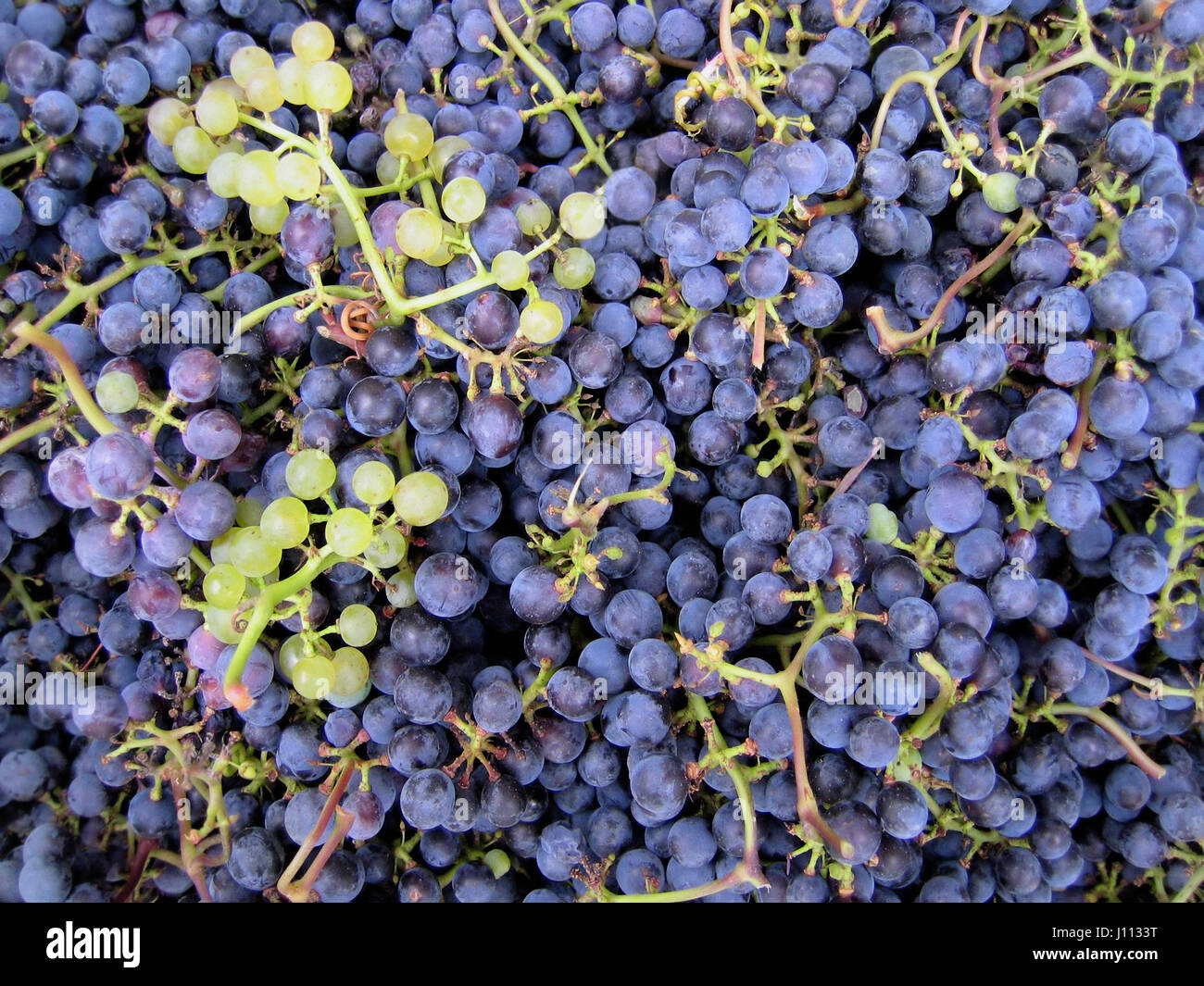 close-up of grapes clusters background Stock Photo - Alamy