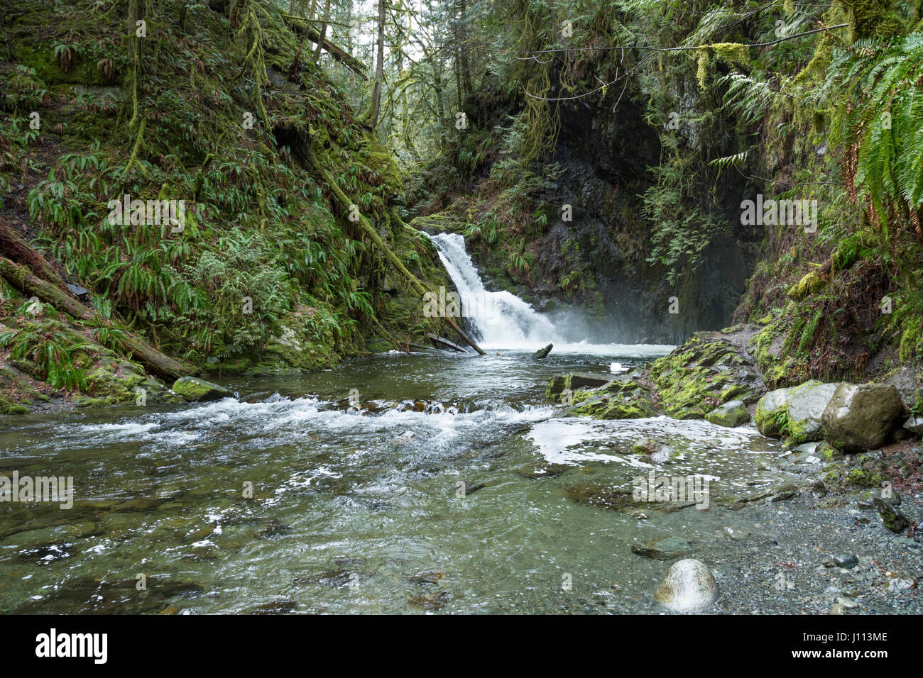 Goldsream Falls from Upper Goldstream Trail in Goldstream Provincial ...