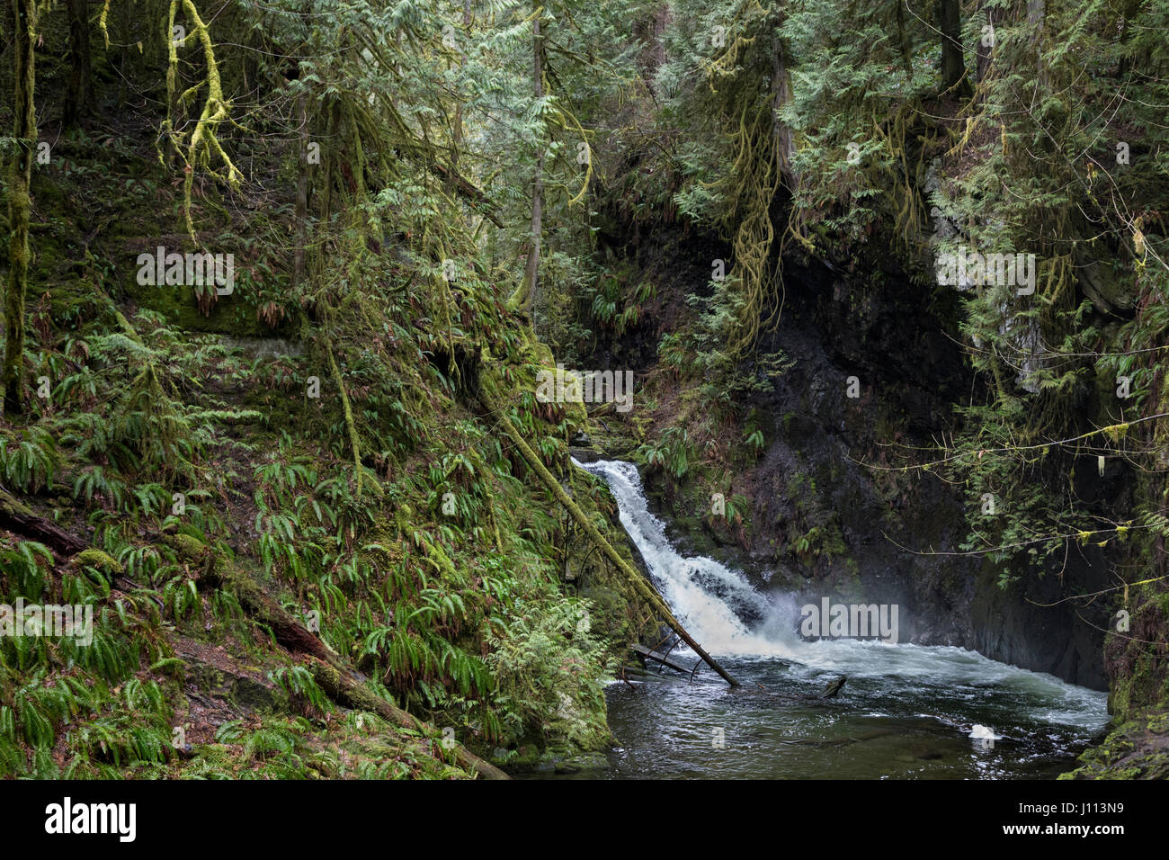 Goldsream Falls from Upper Goldstream Trail in Goldstream Provincial ...