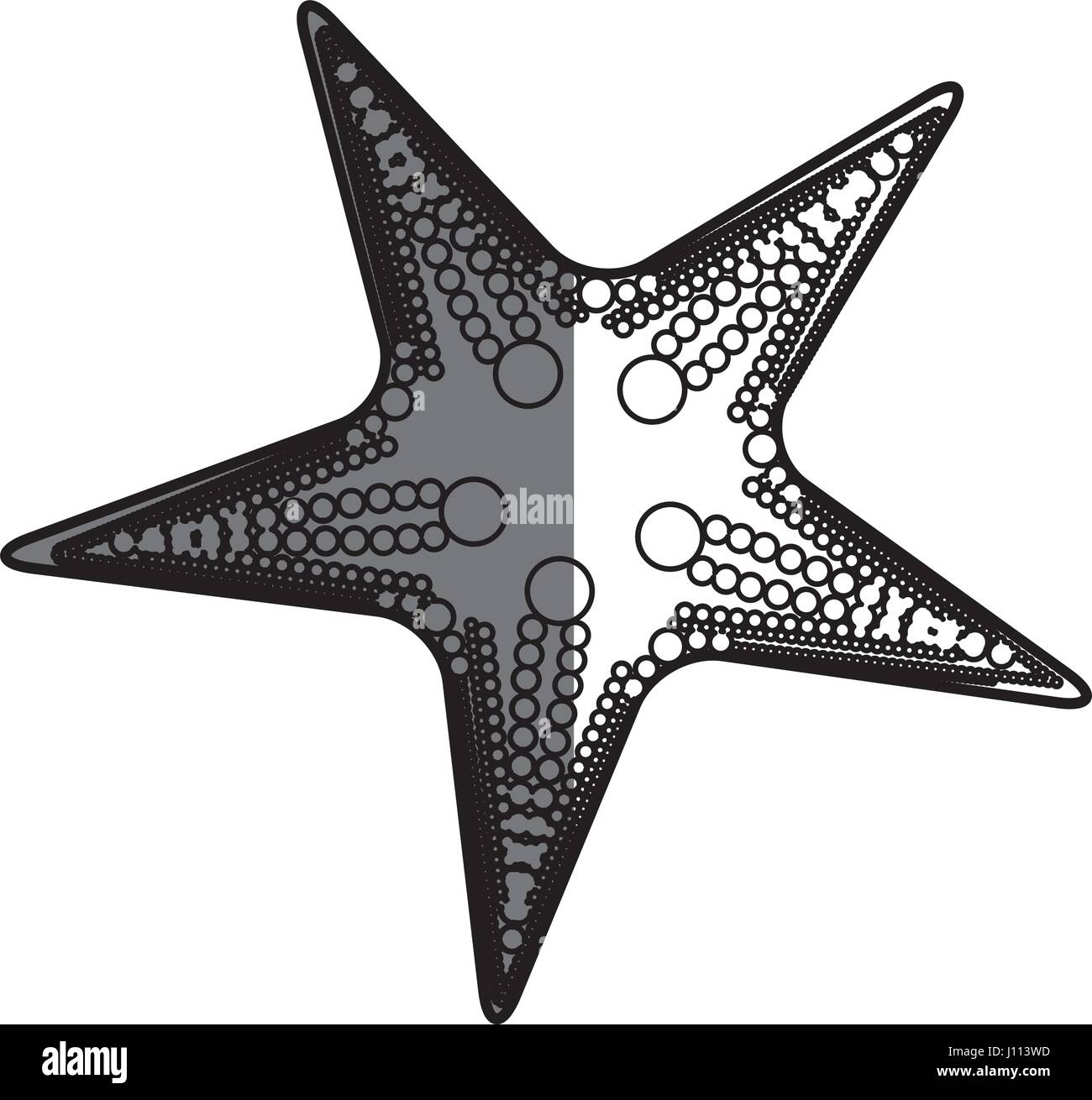 white background with monochrome silhouette of starfish and half shadow ...
