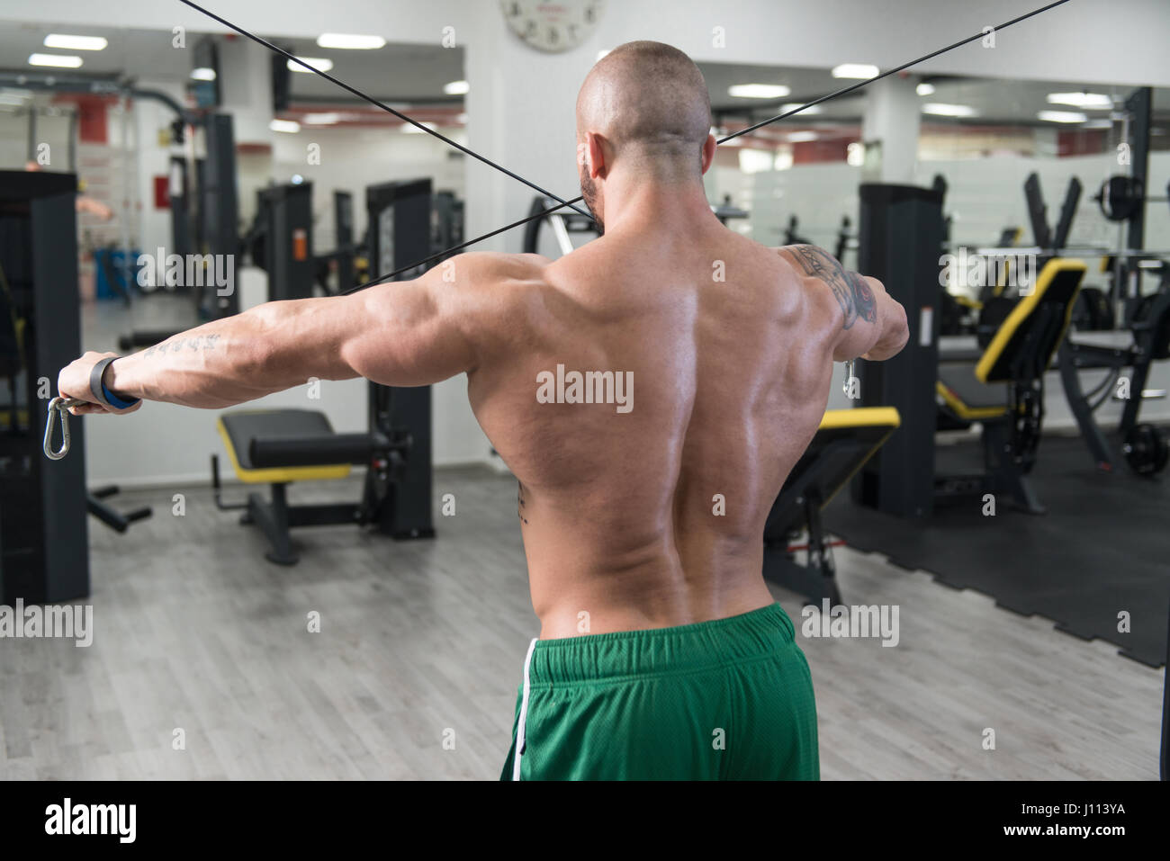 Cable Crossover Back