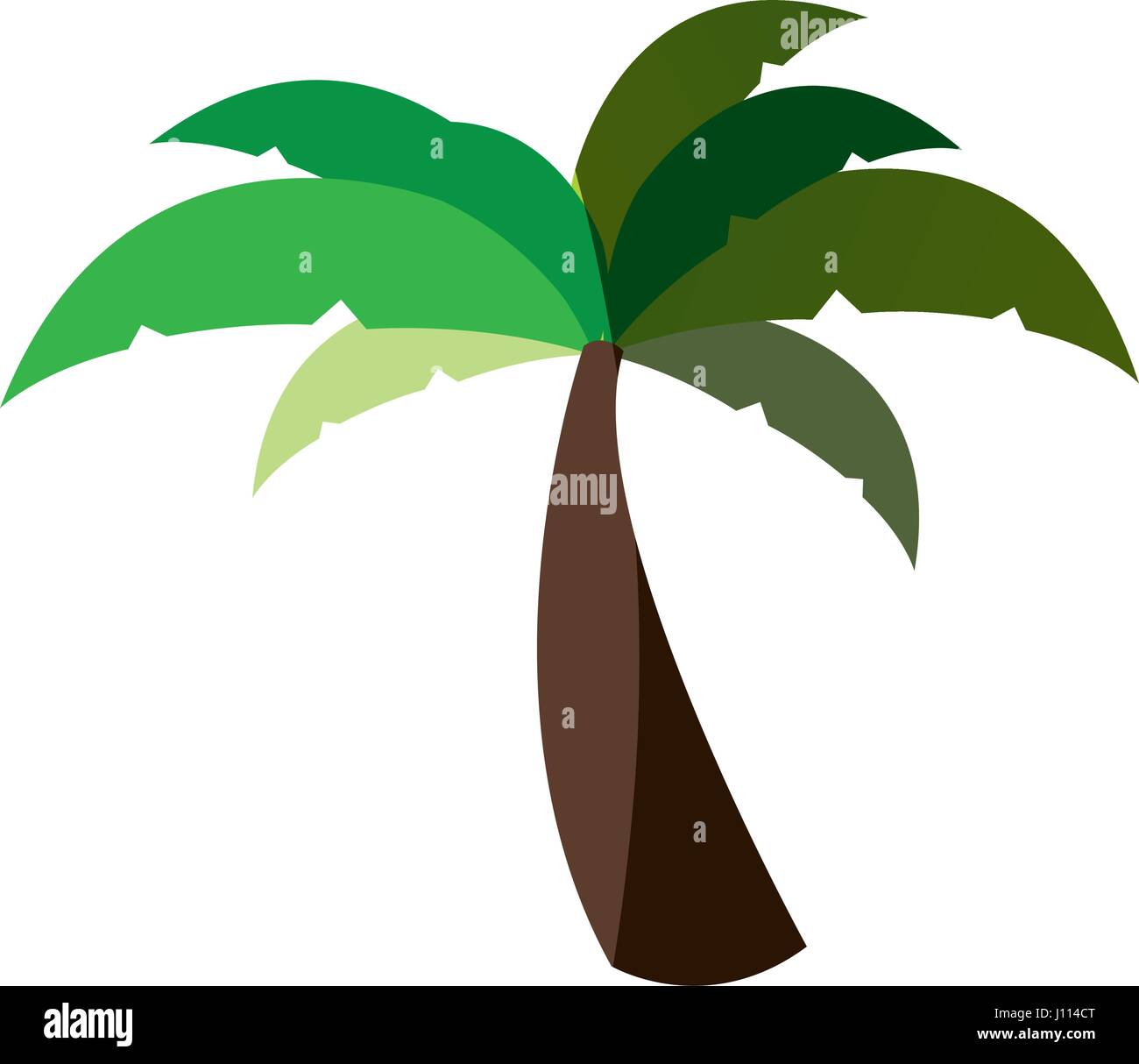white background with palm tree and middle shadow Stock Vector Image ...