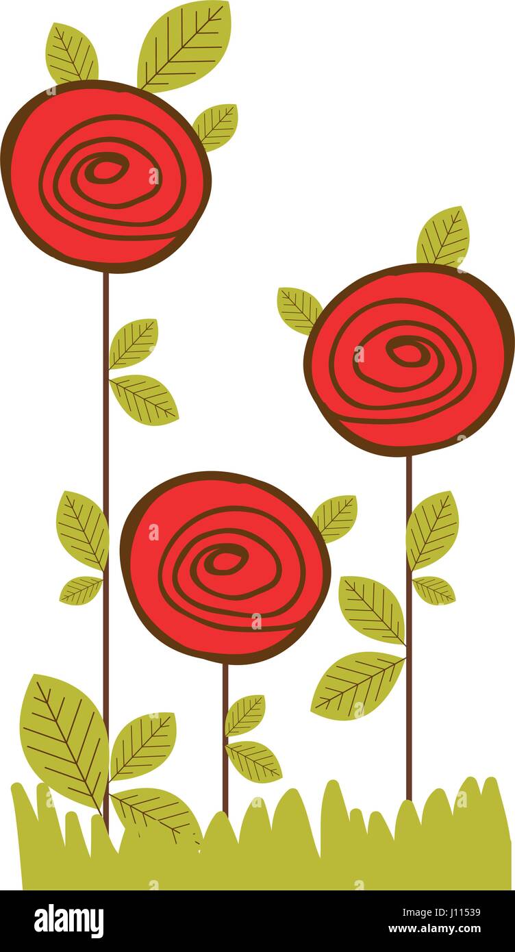 colorful drawing roses planted with leaves and pasture Stock Vector ...