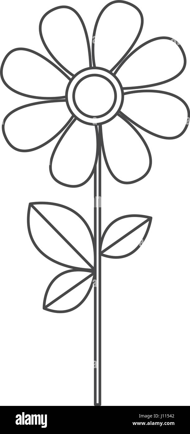Flower With Stem Outline Clipart