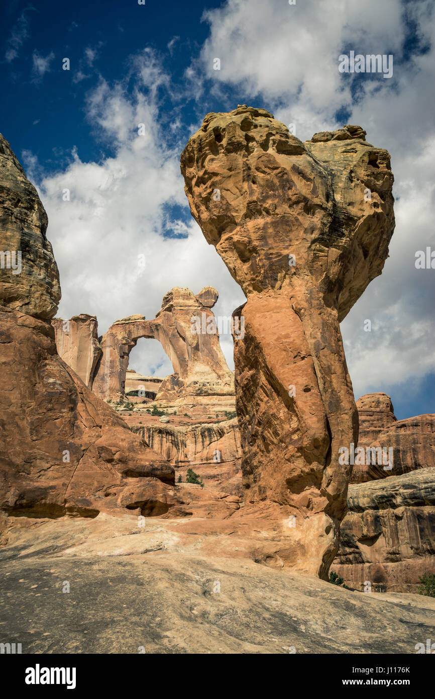 Molar Rock and Angel arch, Needles District, Canyonlands National Park ...