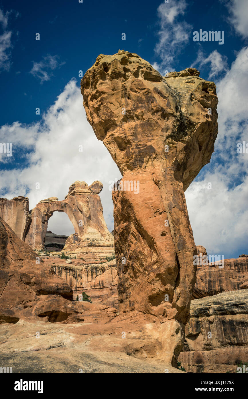 Molar Rock and Angel arch, Needles District, Canyonlands National Park ...