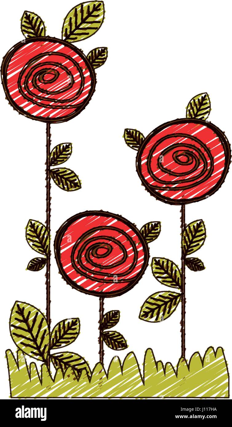 color pencil drawing of roses planted with leaves and pasture Stock ...
