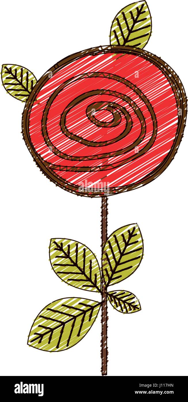 color pencil drawing of button rose with leaves and stem Stock Vector ...