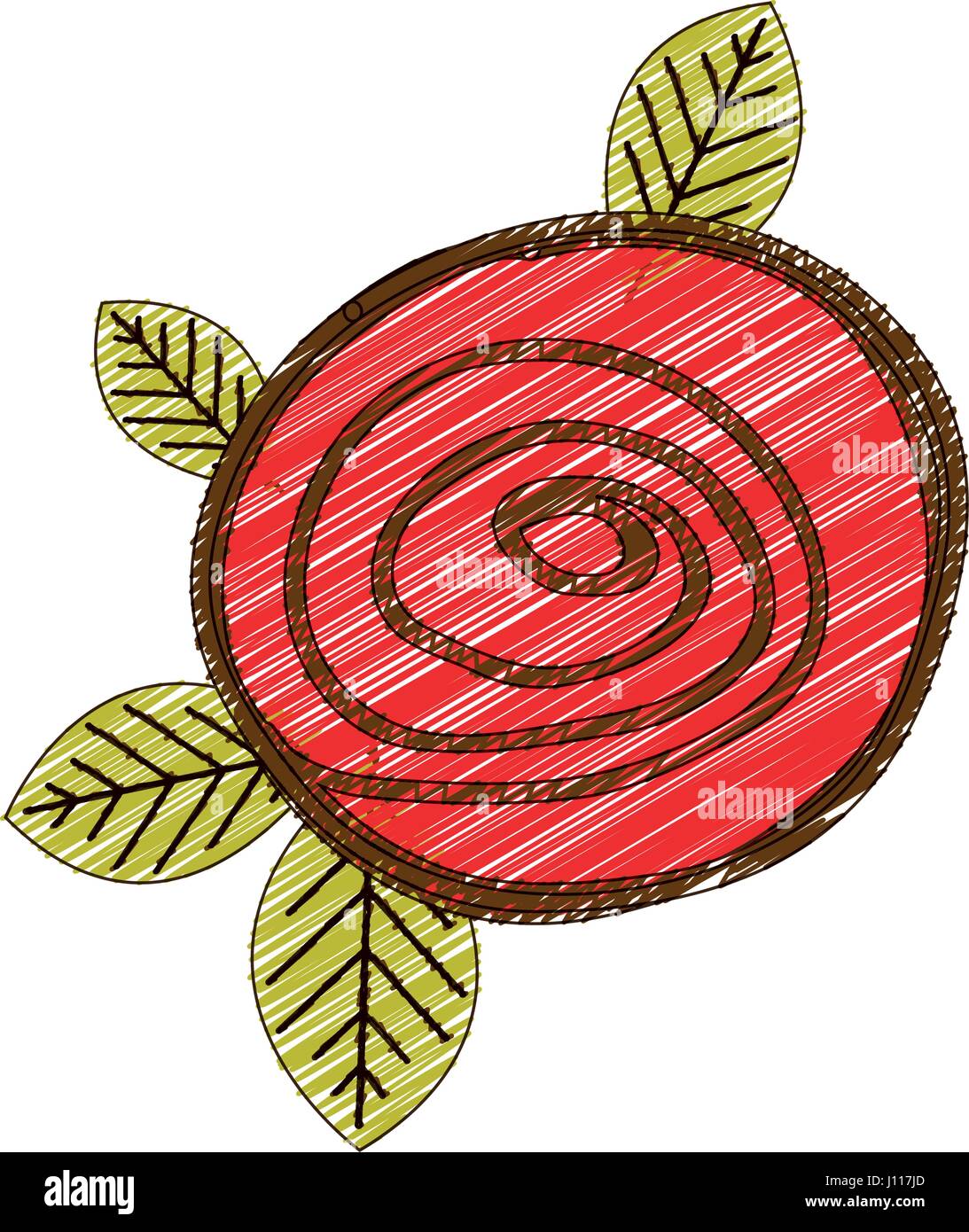 color pencil drawing of button red rose with leaves closeup Stock ...