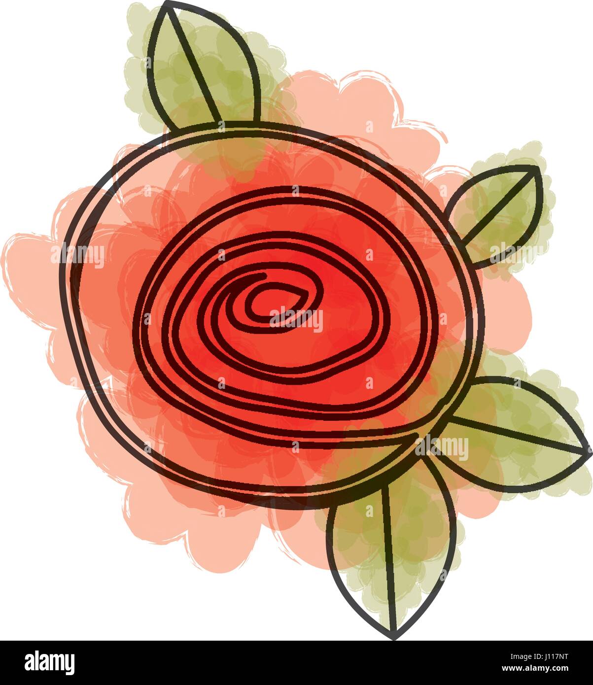 watercolor drawing of button red rose with leaves closeup Stock Vector ...