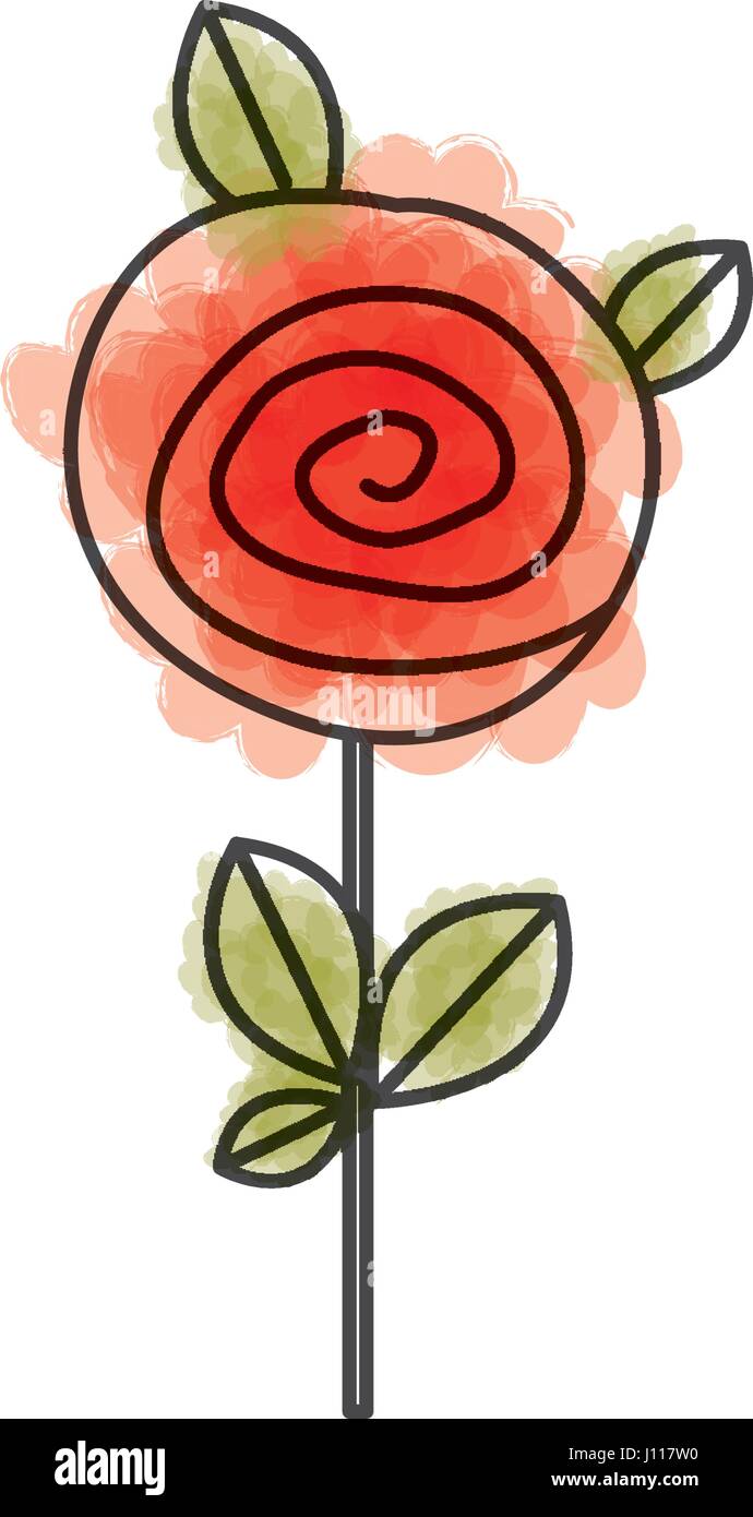 watercolor drawing of button red rose with leaves and stem Stock Vector ...