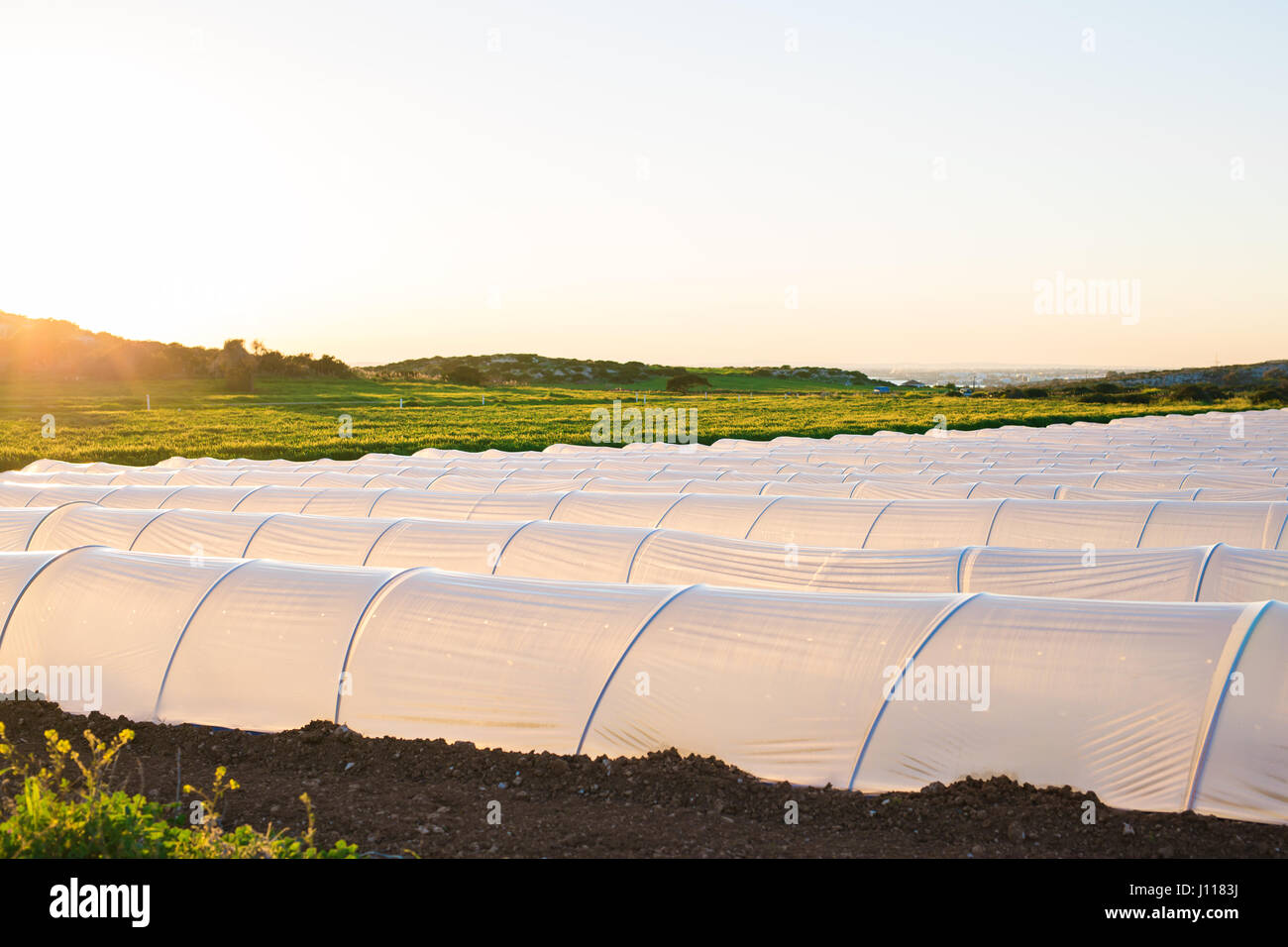 greenhouses in country garden in spring Stock Photo - Alamy