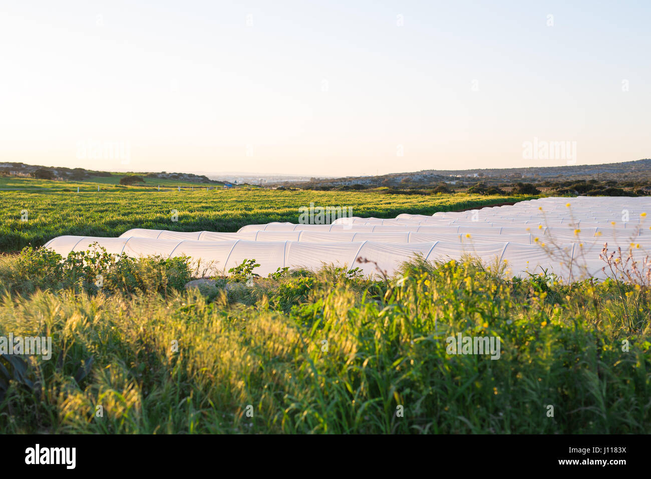 greenhouses in country garden in spring Stock Photo - Alamy